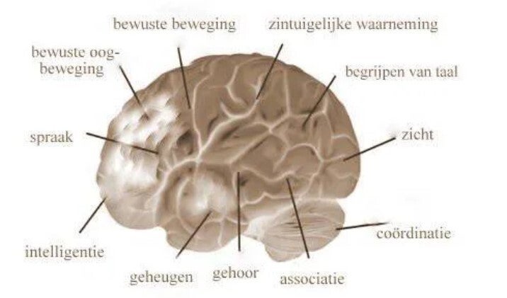 Choke challenge / Zuurstoftekort / Soorten hersenletsel hersenaandoeningen | Hersenletsel-uitleg.nl