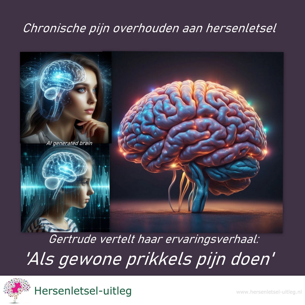 Gertrude: chronische pijnen na NAH / Trauma Ongeluk / Ervaringsverhalen ...