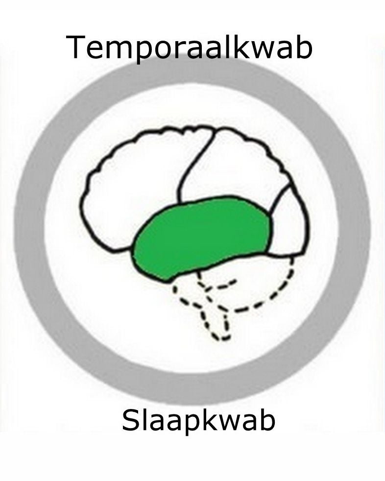 Gevolgen per hersengebied | Hersenletsel-uitleg.nl