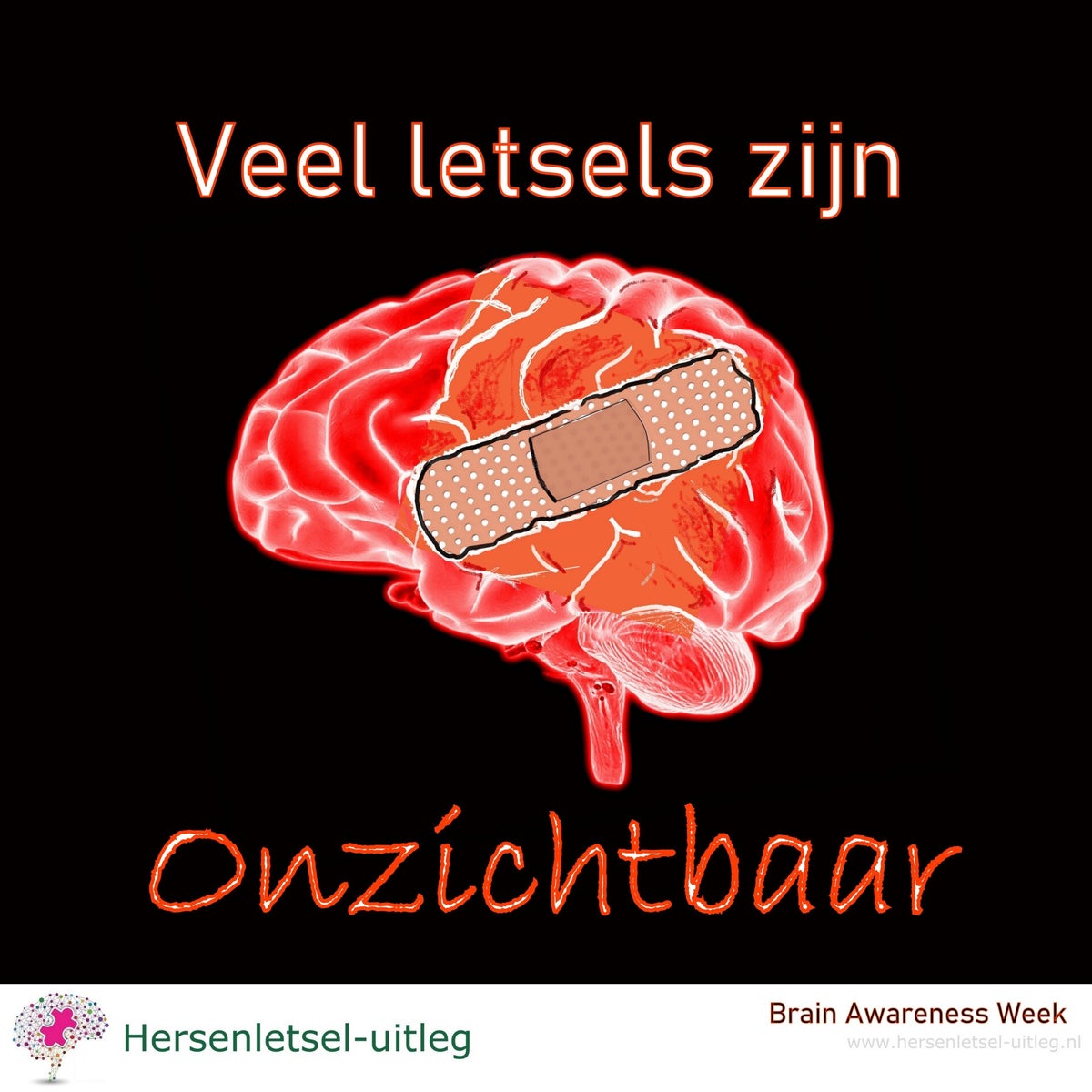 Soorten hersenletsel hersenaandoeningen | Hersenletsel-uitleg.nl