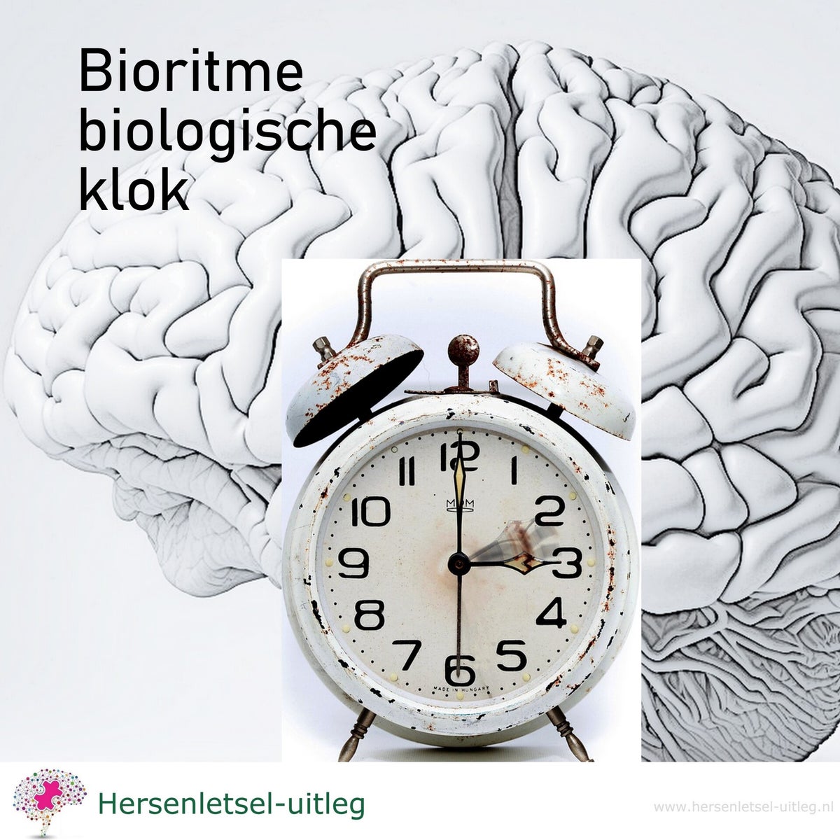 Bioritme / Achtergrondinformatie | Hersenletsel-uitleg.nl
