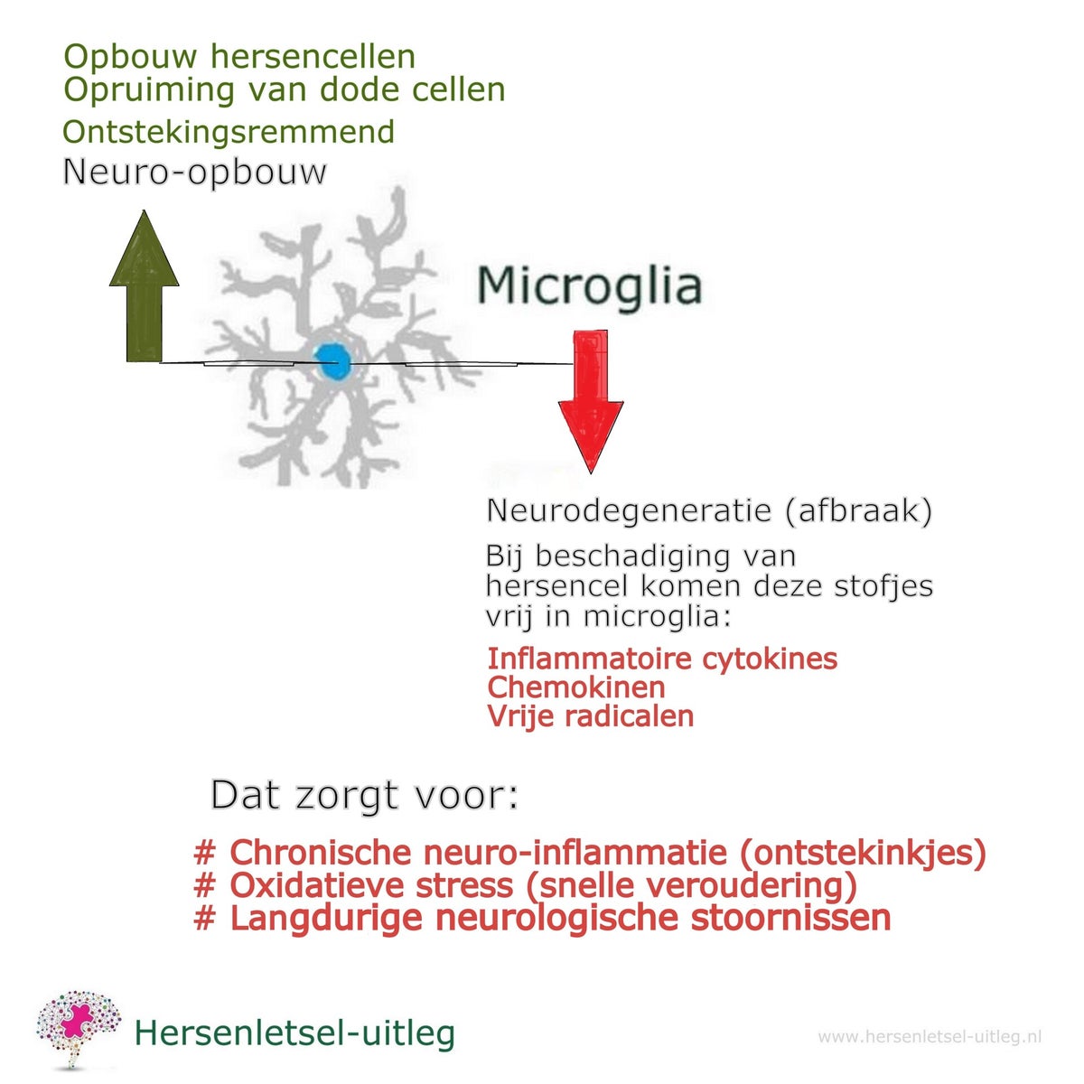 PCS Postcommotioneel Syndroom / Traumatisch hersenletsel / Soorten hersenletsel ...