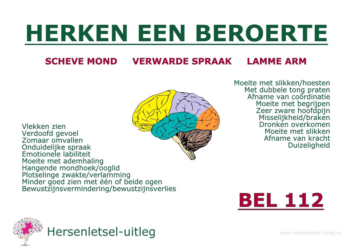 BEROERTE HERKENNEN / Beroerte CVA / Soorten hersenletsel hersenaandoeningen | Hersenletsel-uitleg.nl