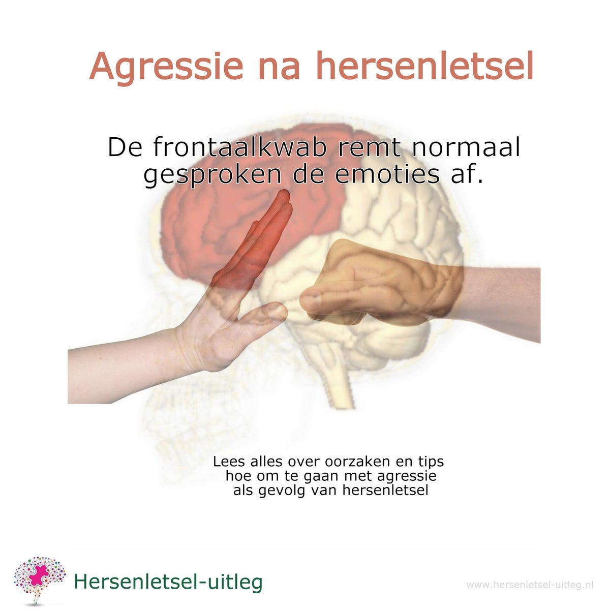 Agressie / Emoties Gedrag Relaties / Gevolgen | Hersenletsel-uitleg.nl