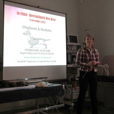 In Clinic | Dingboom-hoekstra