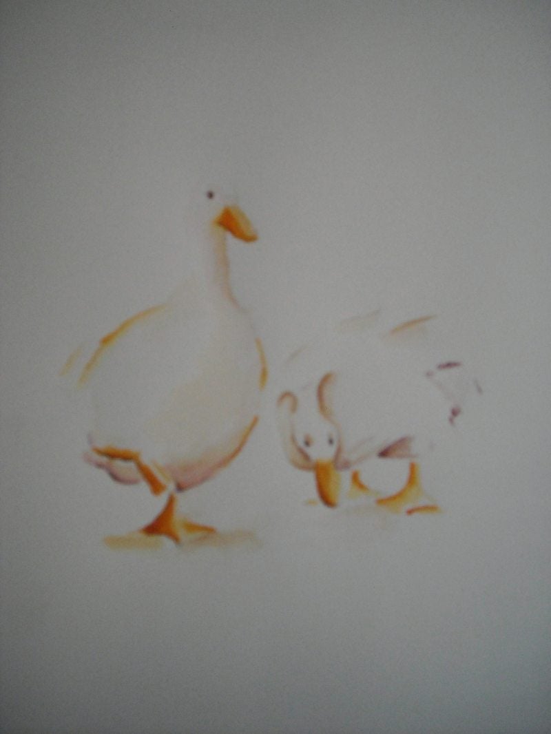 Aquarellen | Filip-art