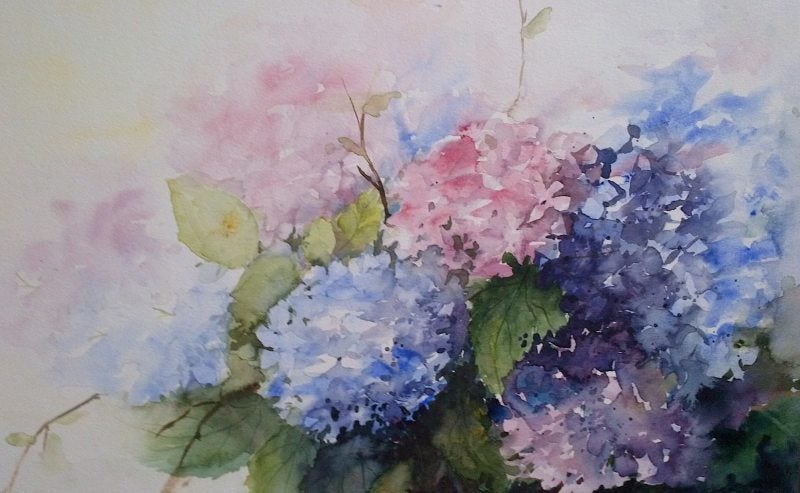 Aquarellen | Filip-art