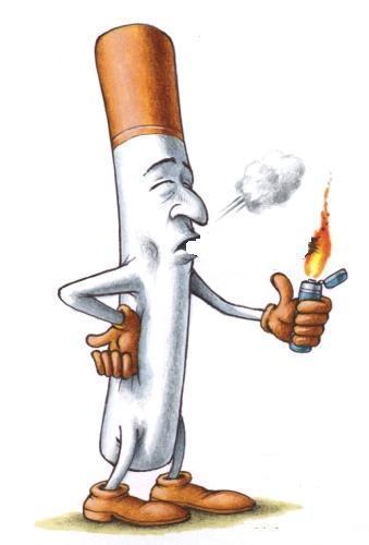 Inhoud | Rokenisdoodelijk