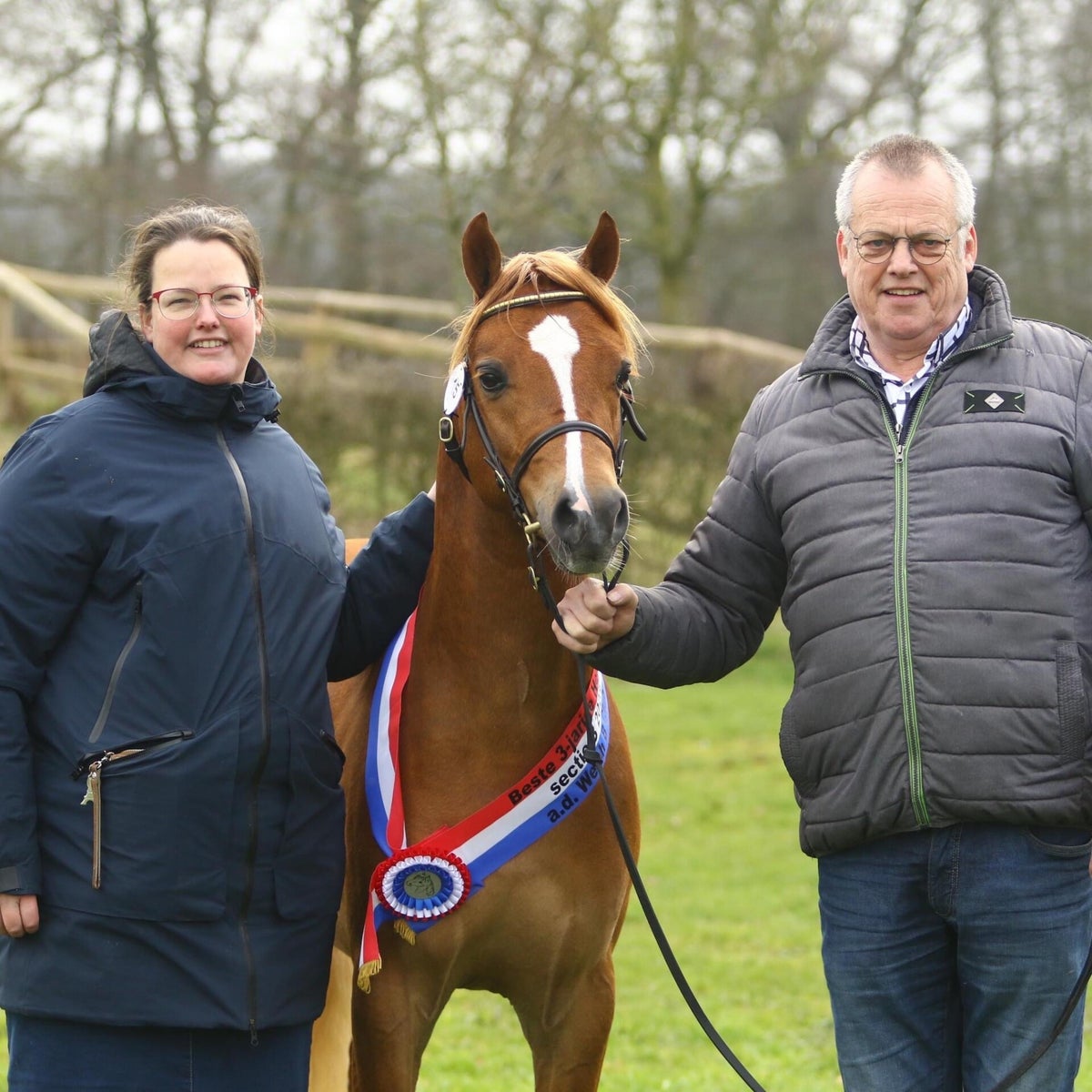 Stal Prinsenhof | stalprinsenhof.jouwweb.nl