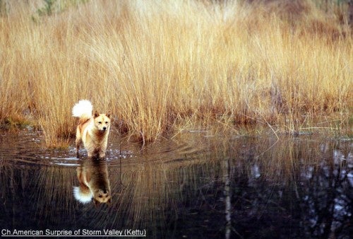 FOTO GALLERY | finsespits.jouwweb.nl