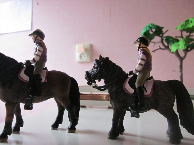 Lessen | Themoonhorsemanege