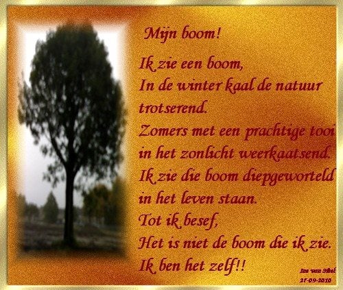 mijn-boom / Mijn Gedichten | Gedichtenhoekje-van-ine