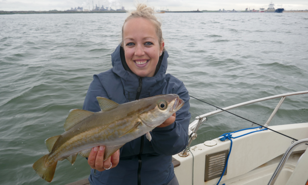 BOOTVISSEN | VISLING.NL