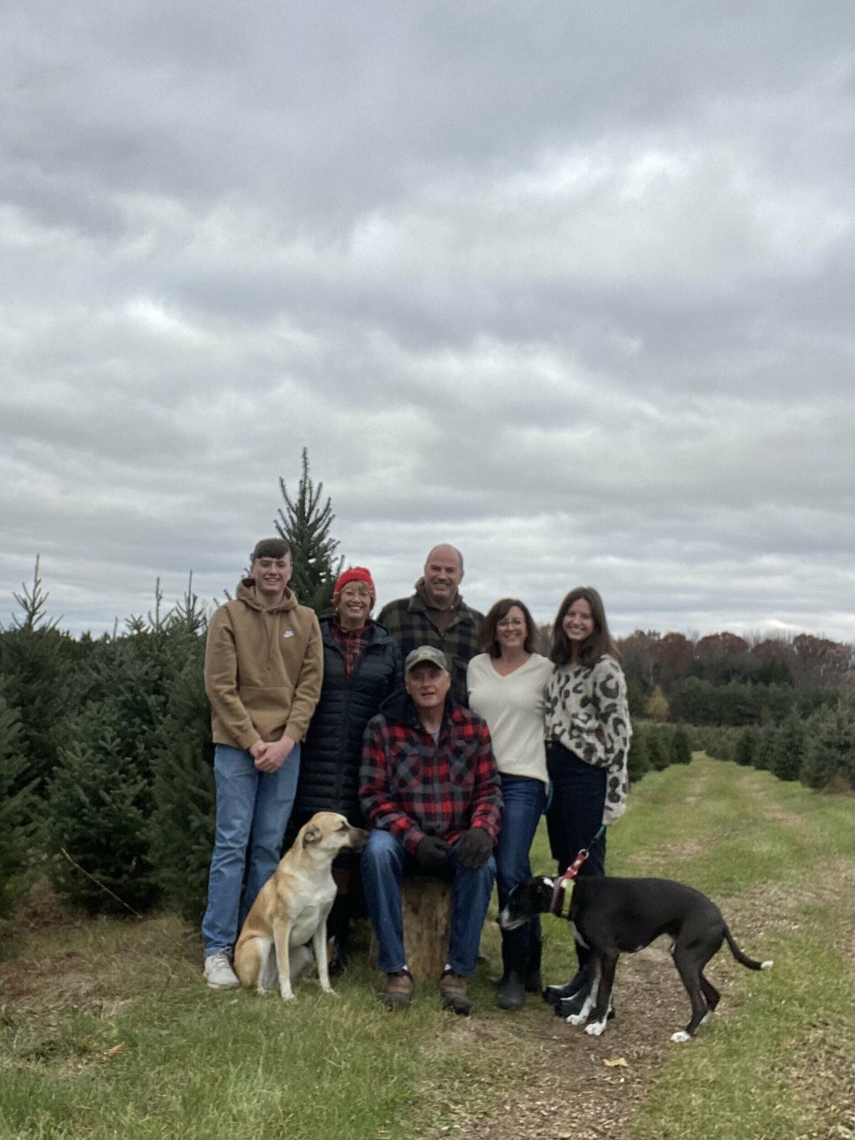 Kling Family Christmas Tree Farm