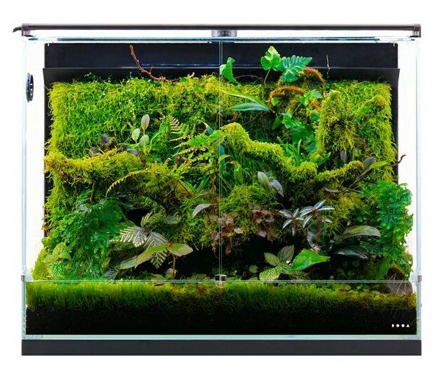 DOOA / Paludaria / Aquaria benodigdheden | Creating Nature