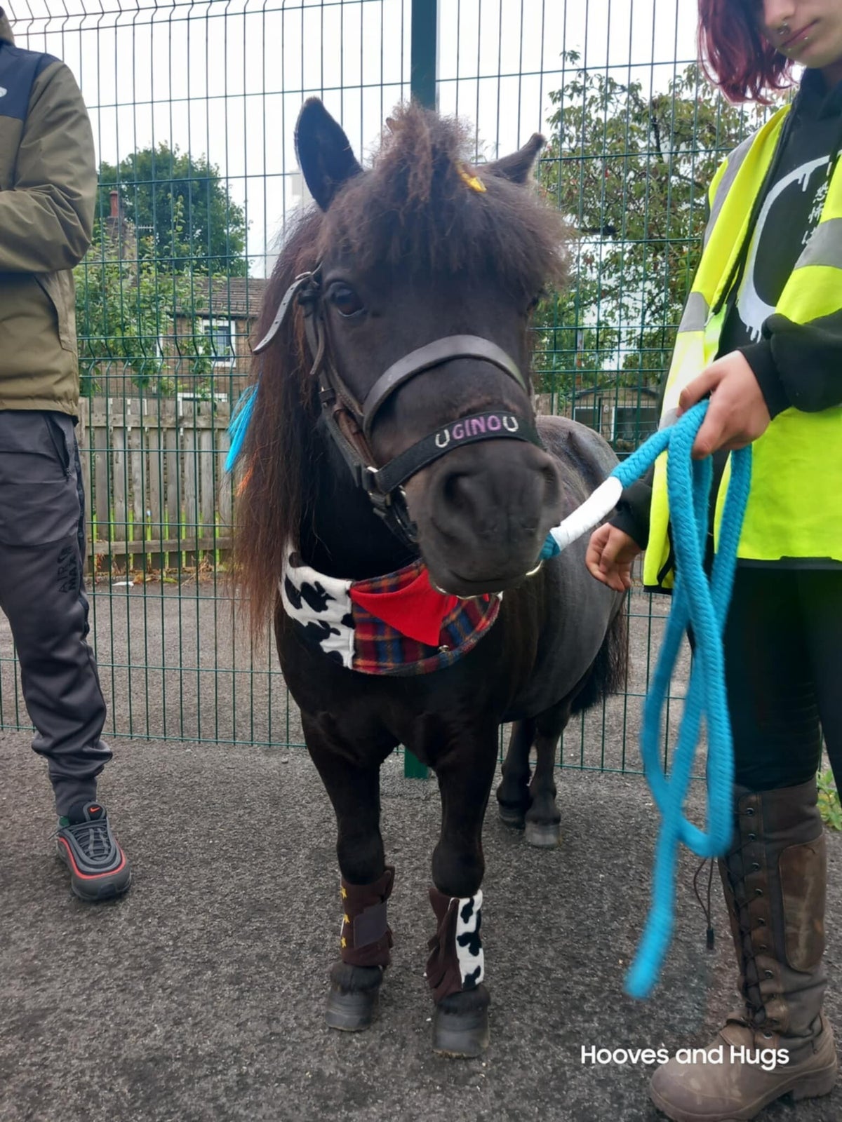 Hooves and hugs ponies