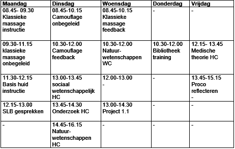 Voorbeeld roosters | Opendaghuidtherapie2015