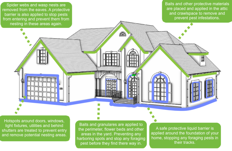 Pest control to protect your Home all year long.