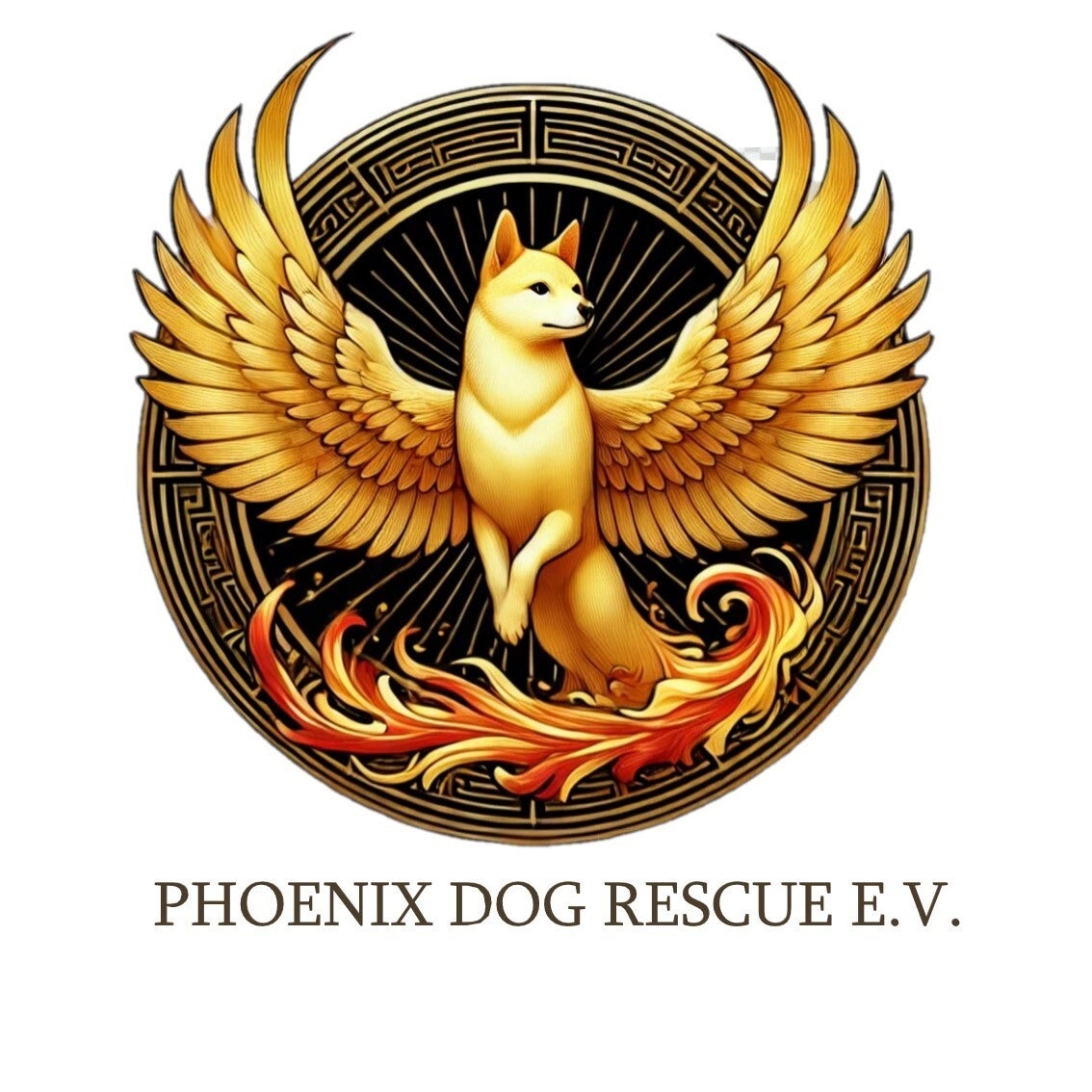 Phoenix dog