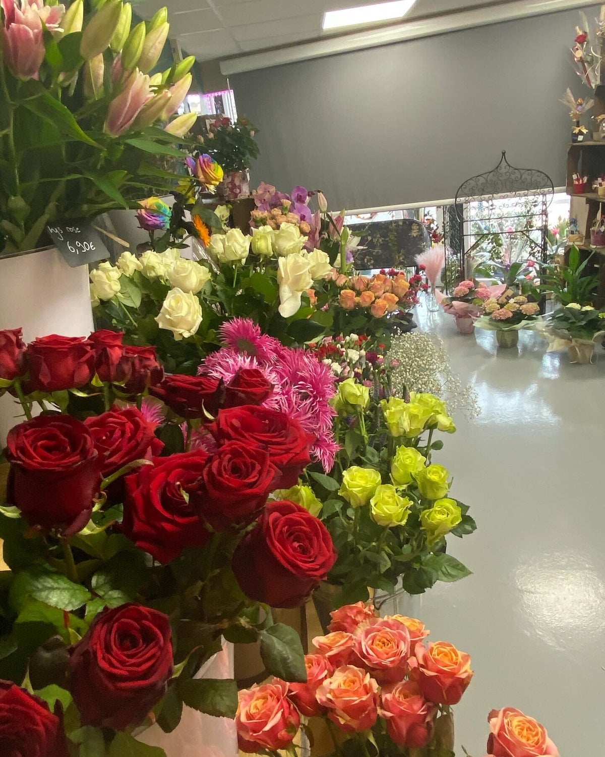 La Rosa Di Rossa