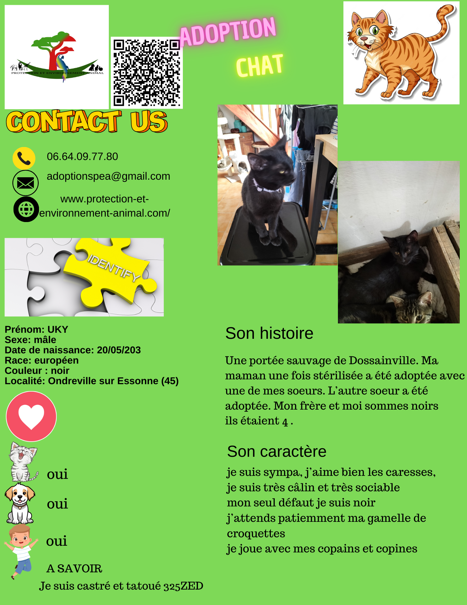 FICHE D'IDENTITE CHATS CHATONS A ADOPTER PAGE | PROTECTION ET ...