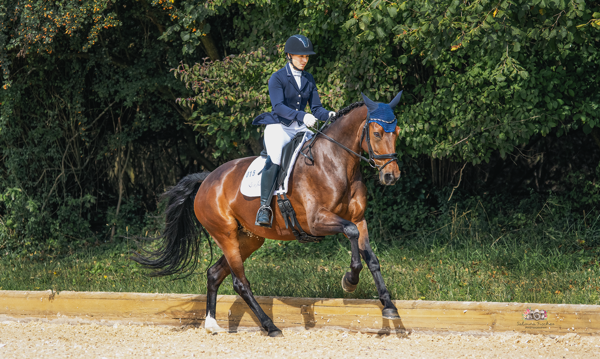 Turnier & Training | Sabrina Fischer Photography