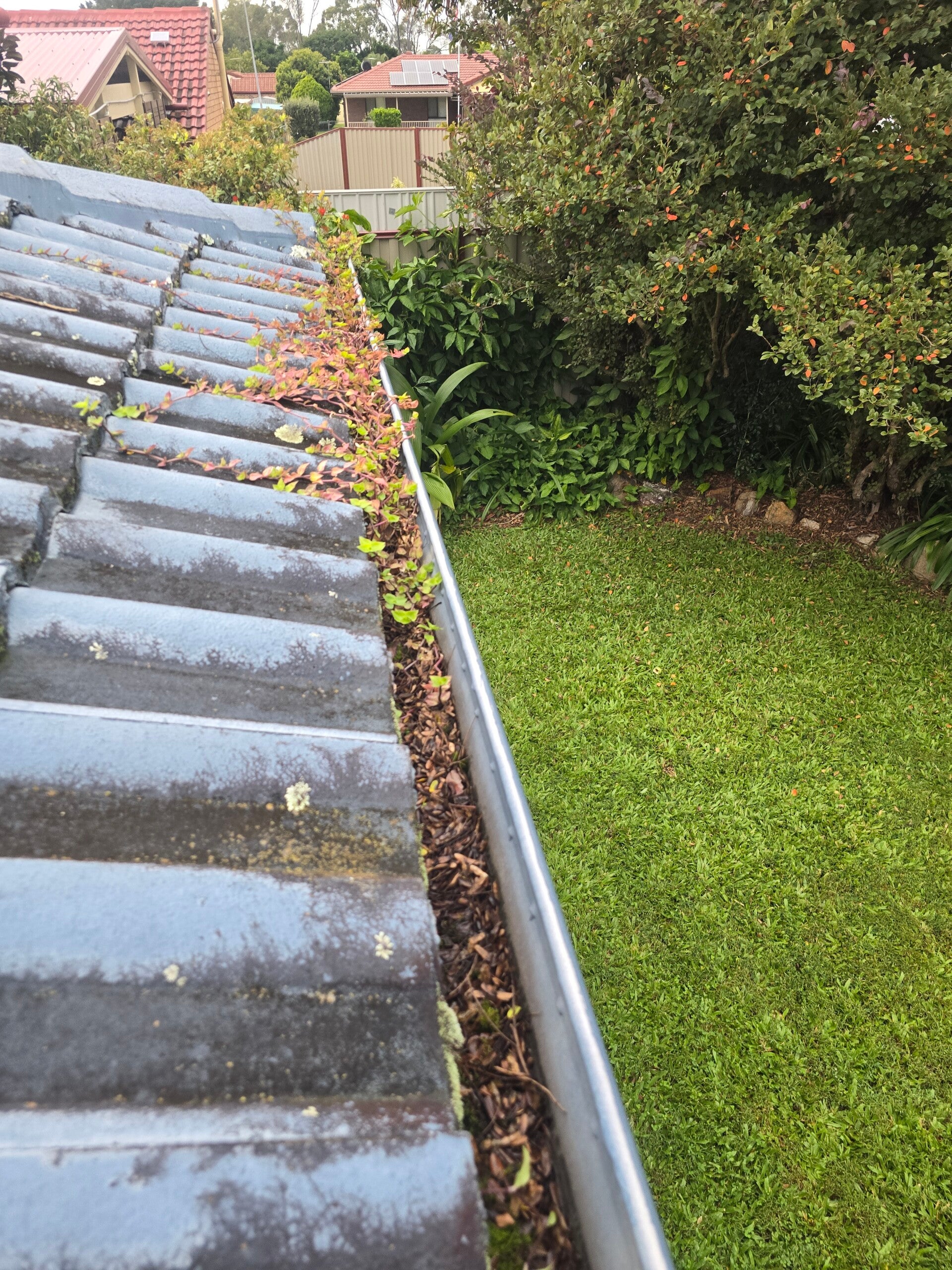 Roof and Gutter Services Brisbane - Bua's Roof N Gutter