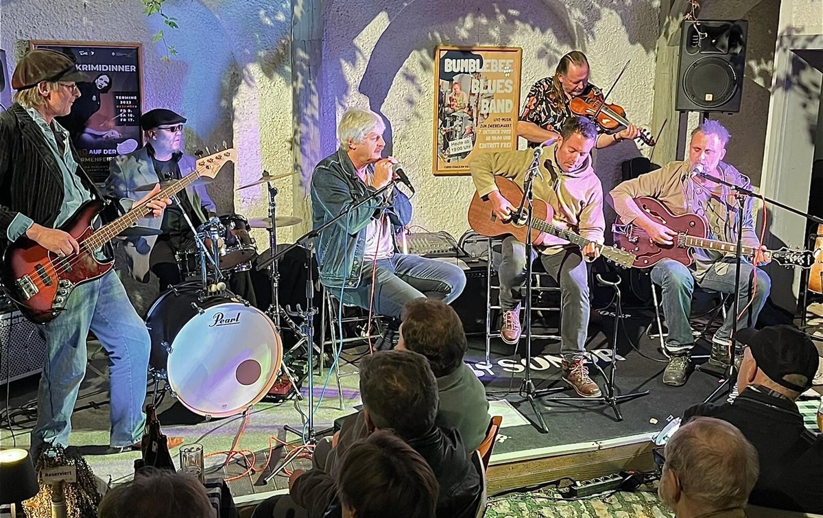 Informationen | Bumblebee-Band