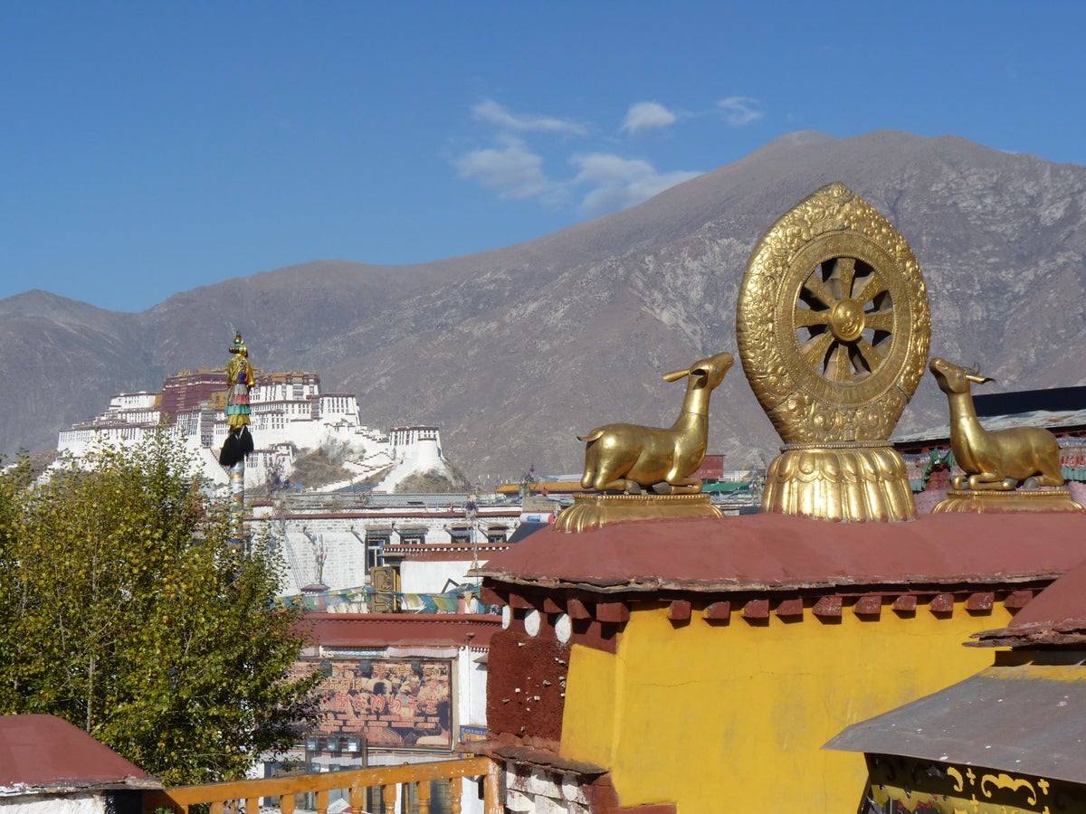 HIMALAYA EXPRES | Treinreiswereld.nl