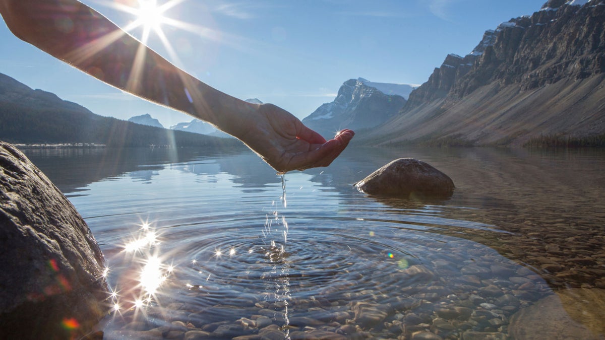 Cause | Water Management