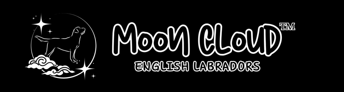 PUPPY CONTRACT | mooncloudlabradors