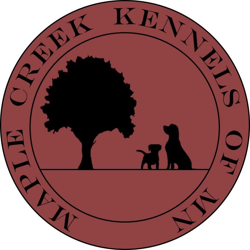 Available Puppies | Maple Creek Kennels of MN