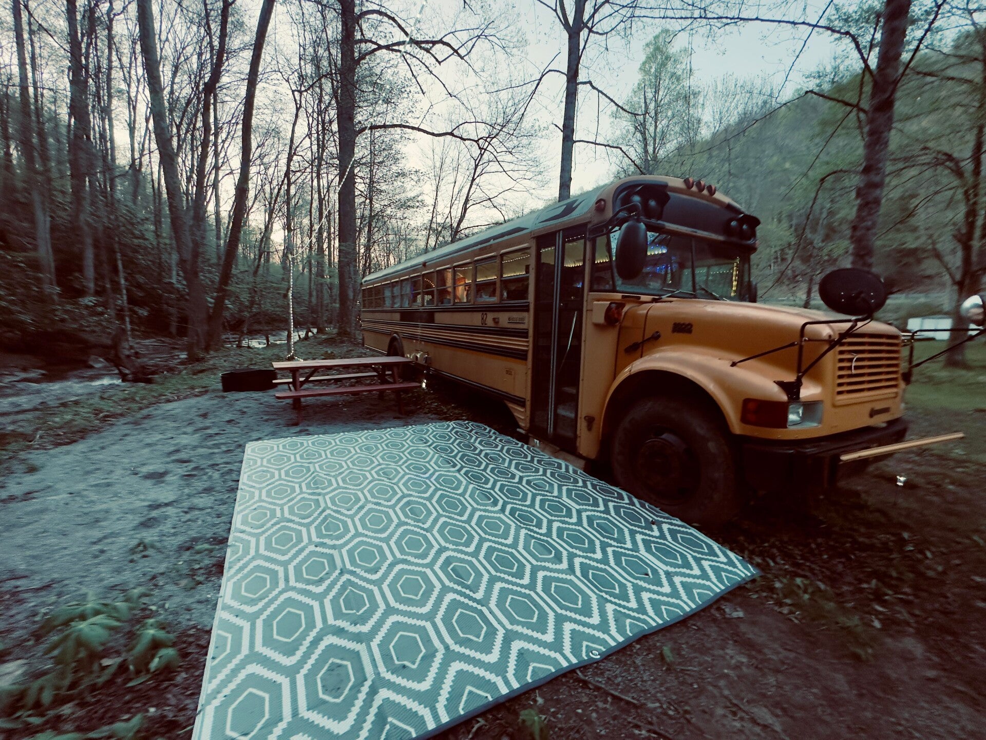 Skoolie Conversions | Wild Wonderful Skoolies and Camping