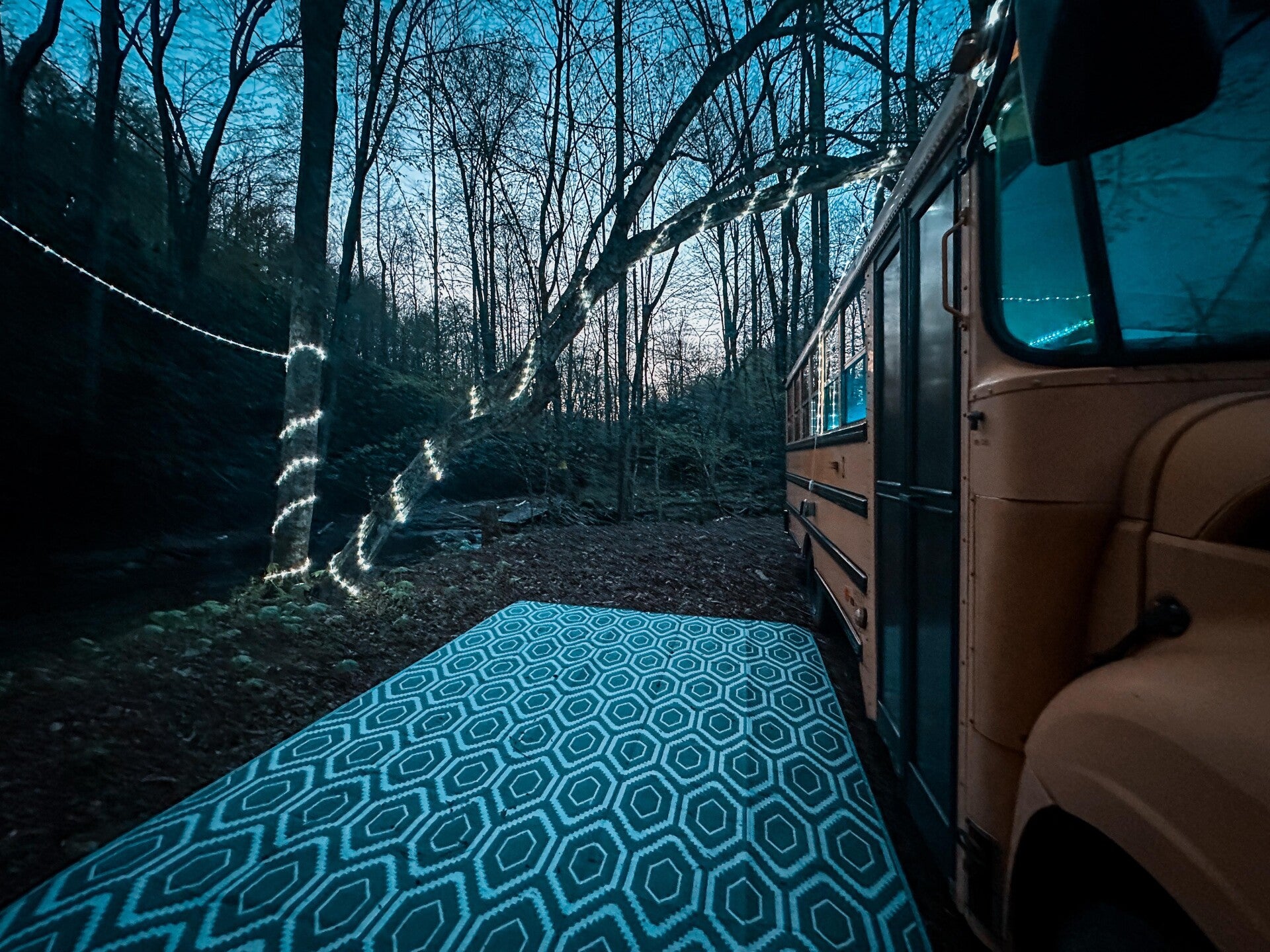 Skoolie Conversions | Wild Wonderful Skoolies and Camping