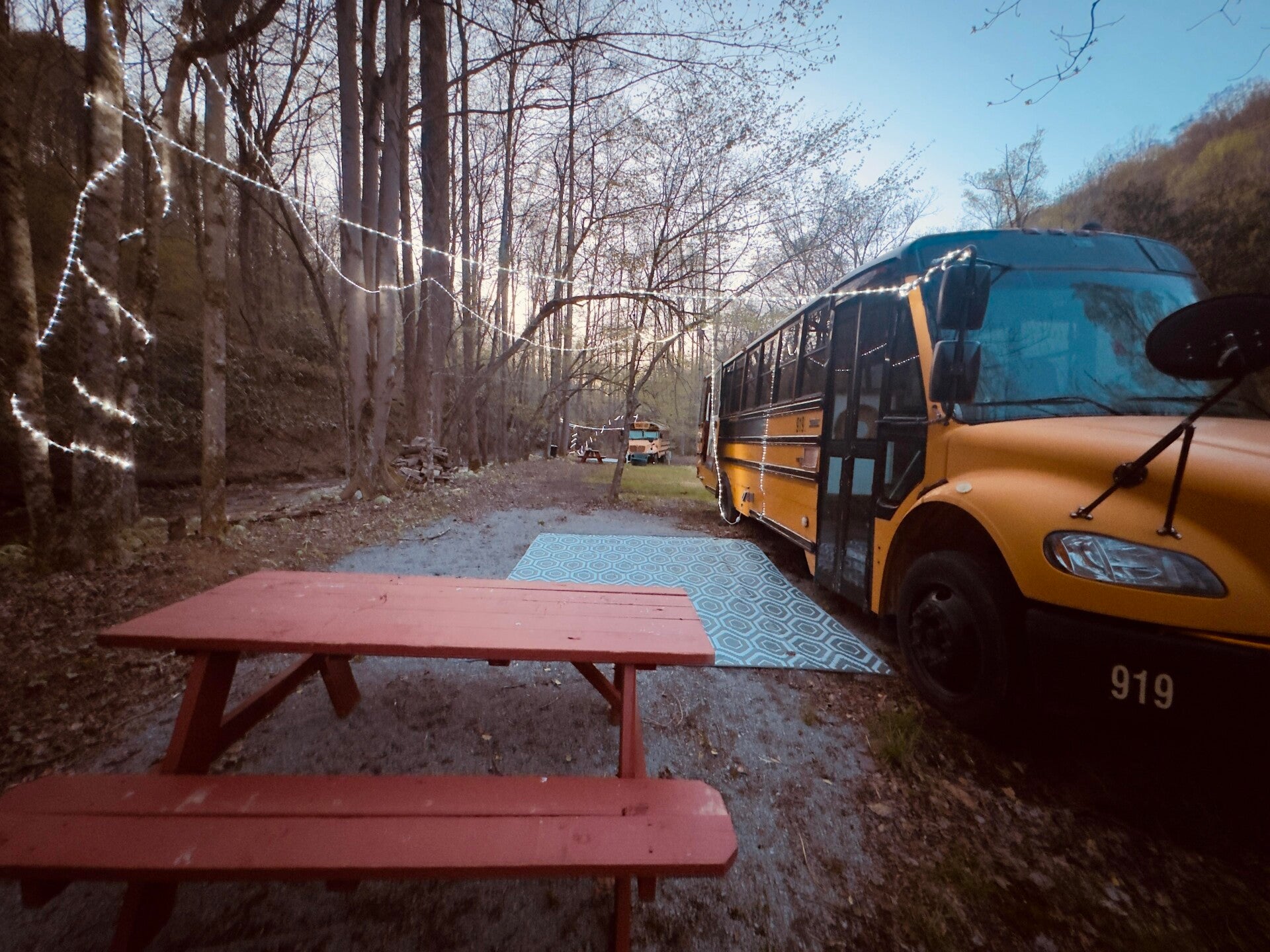 Skoolie Conversions | Wild Wonderful Skoolies and Camping