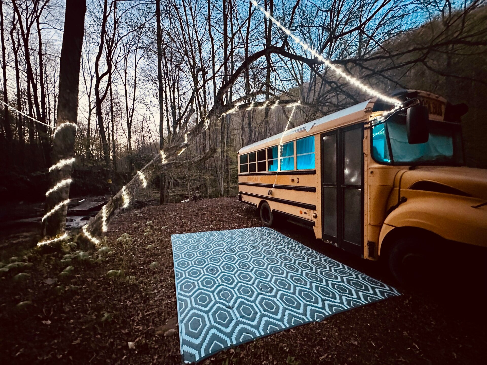 Skoolie Conversions | Wild Wonderful Skoolies and Camping