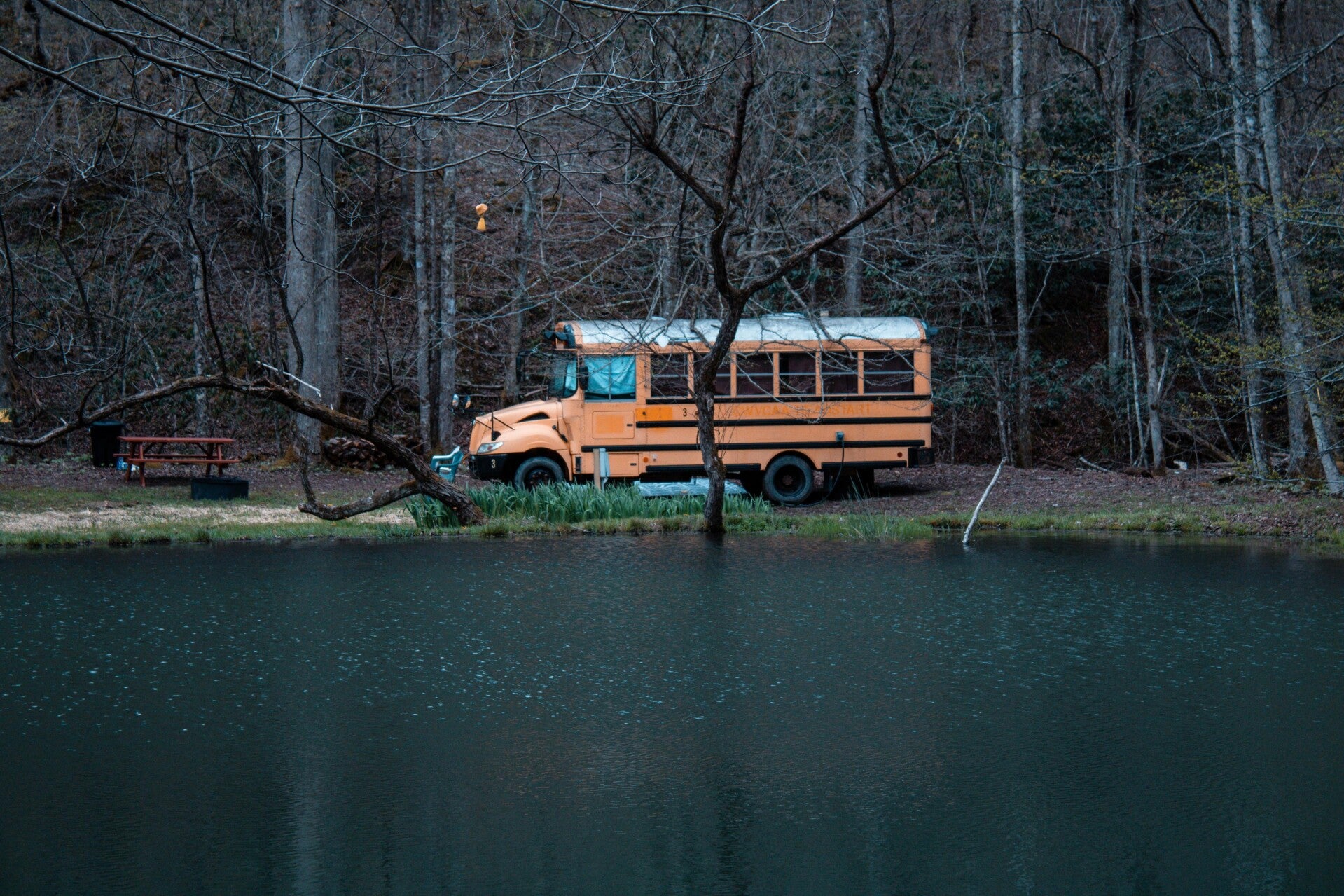 Skoolie Conversions | Wild Wonderful Skoolies and Camping