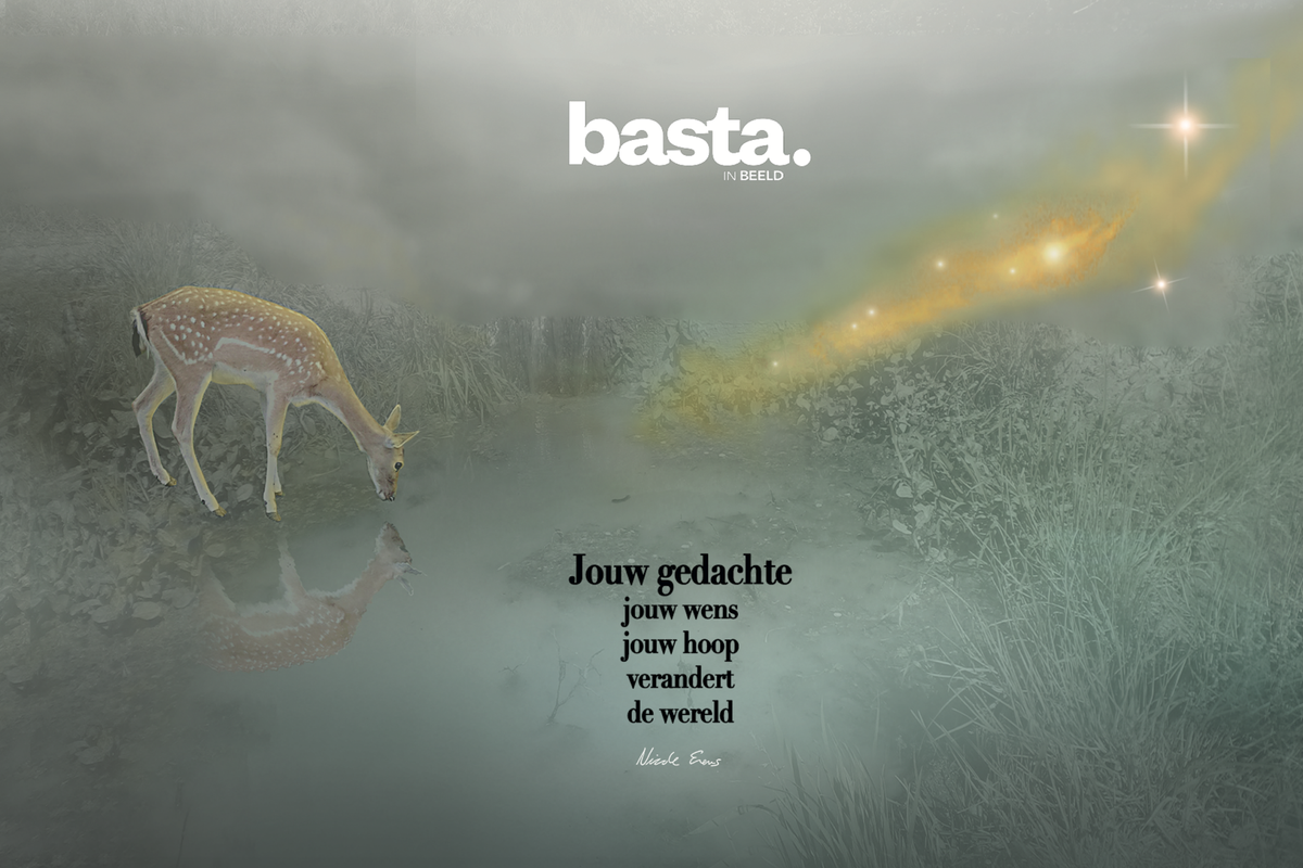 BASTA in Beeld