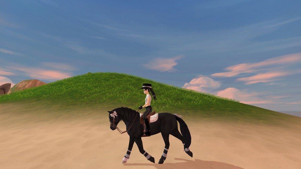 Clubleitung | Wild Explorers