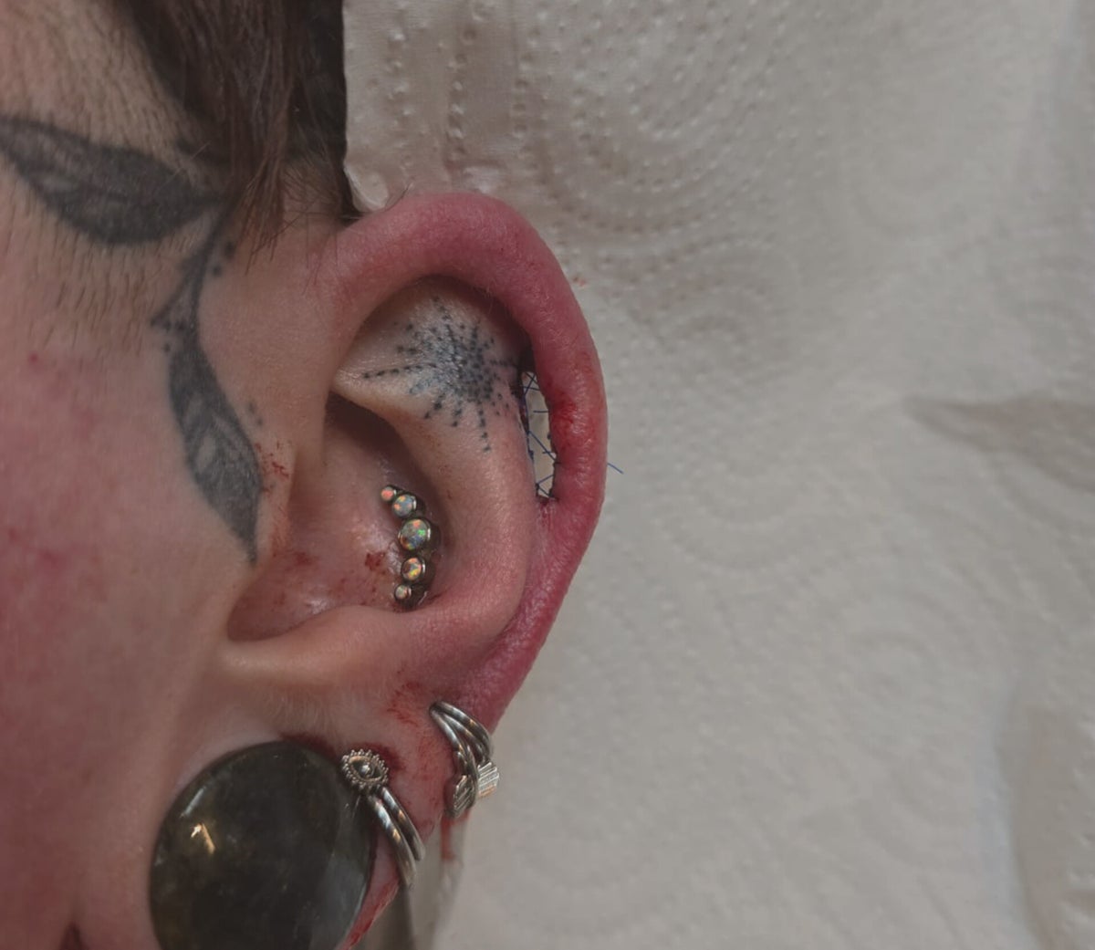 Coinslot / BodyMod | Piercing Room - Chemnitz