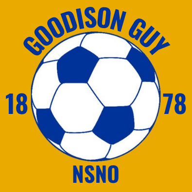 Training Wear - Goodison Guy