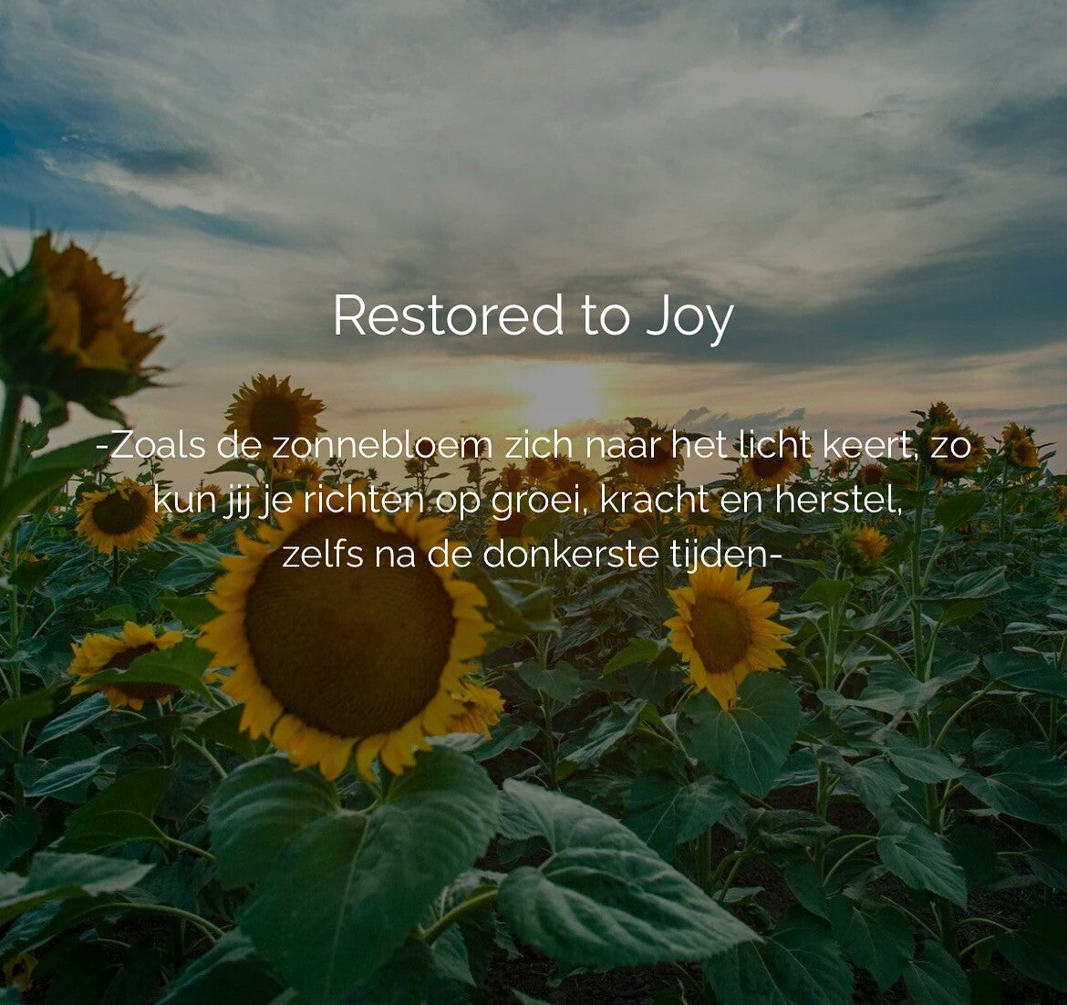 Restored to Joy