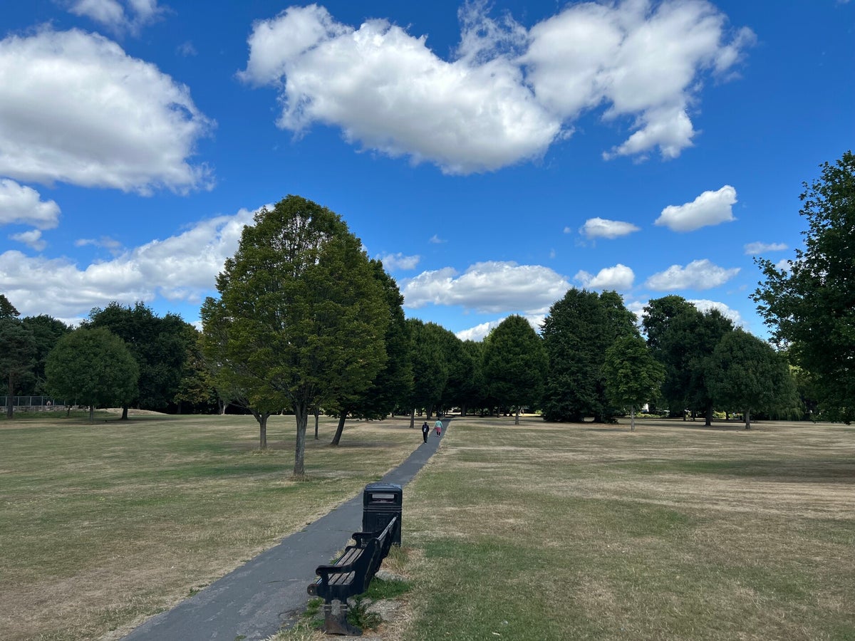 Rail to Trail - Aldershot to Farnham / Rail to Trail walks / The Nature ...
