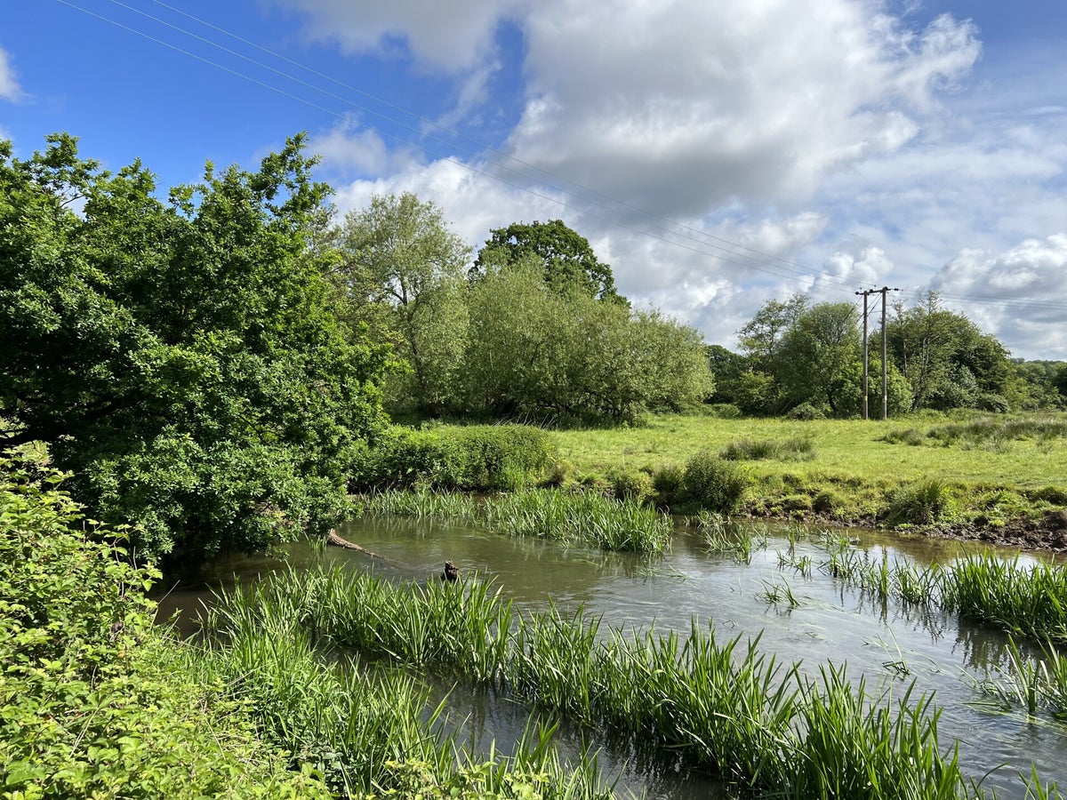Rail to Trail - Blackwater Valley route / Rail to Trail walks / The ...