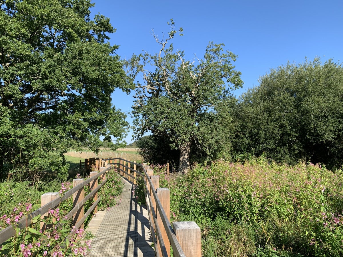 Wellesley Water Meadows, two rivers and Bramshill Forest North / Long ...
