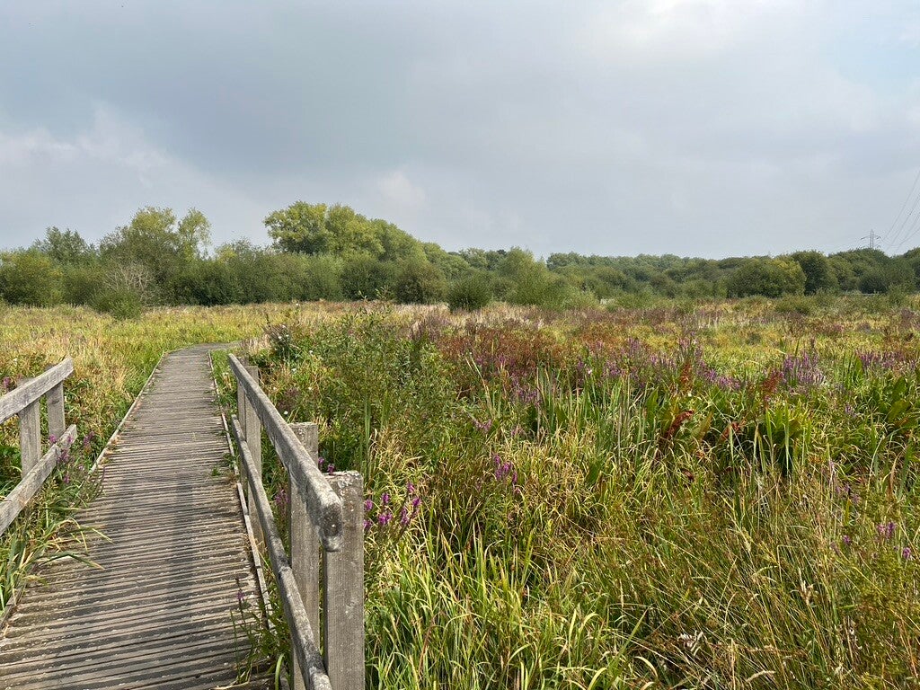 Riverside Park and the River Wey, Guildford / Medium Walks - 2-5 miles ...