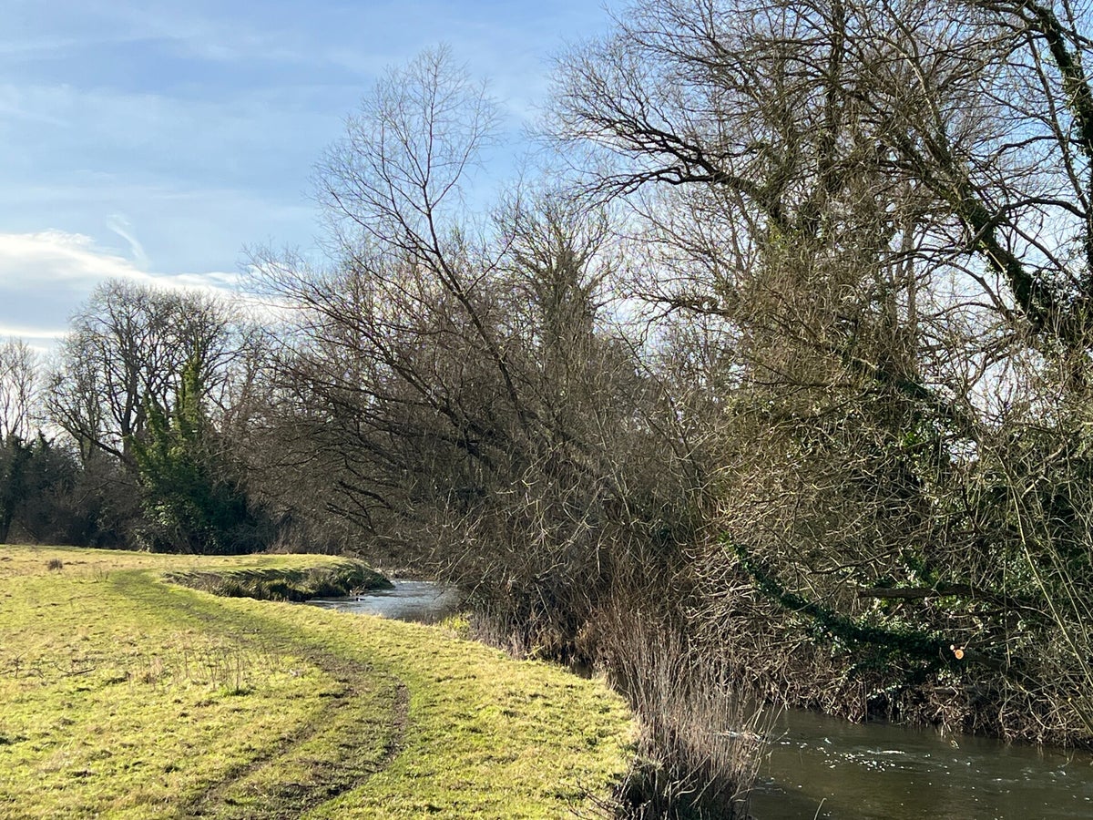 Update - Rotherwick, Hartley Common and the Rivers Loddon and Lyde ...