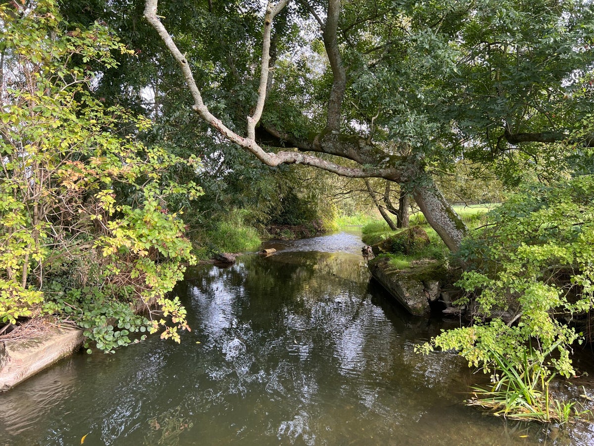Rail to Trail - Farnham to Bentley / Rail to Trail walks / The Nature ...