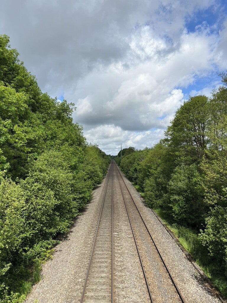 Rail to Trail walks / The Nature Walks | Blackwater Valley Nature Walks