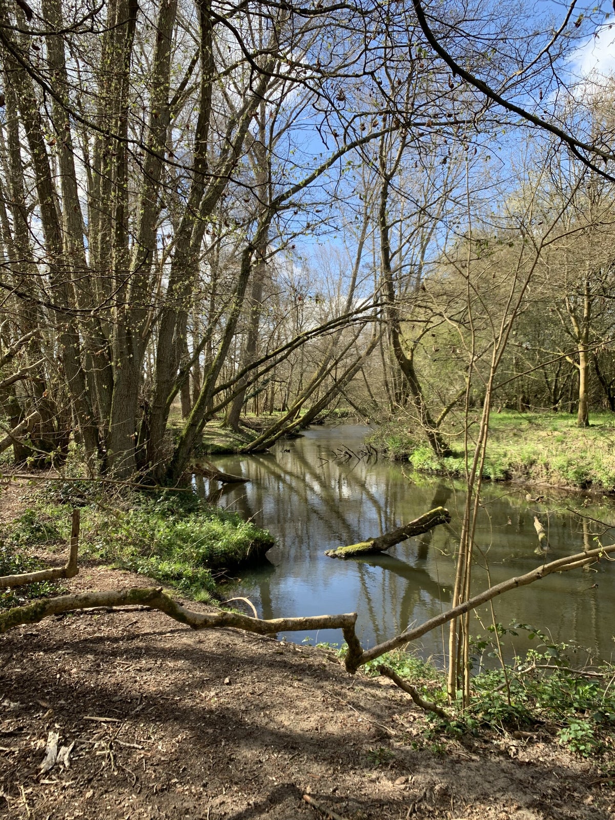 Frensham and Dockenfield / Long Walks - 5 or more miles / The Nature ...